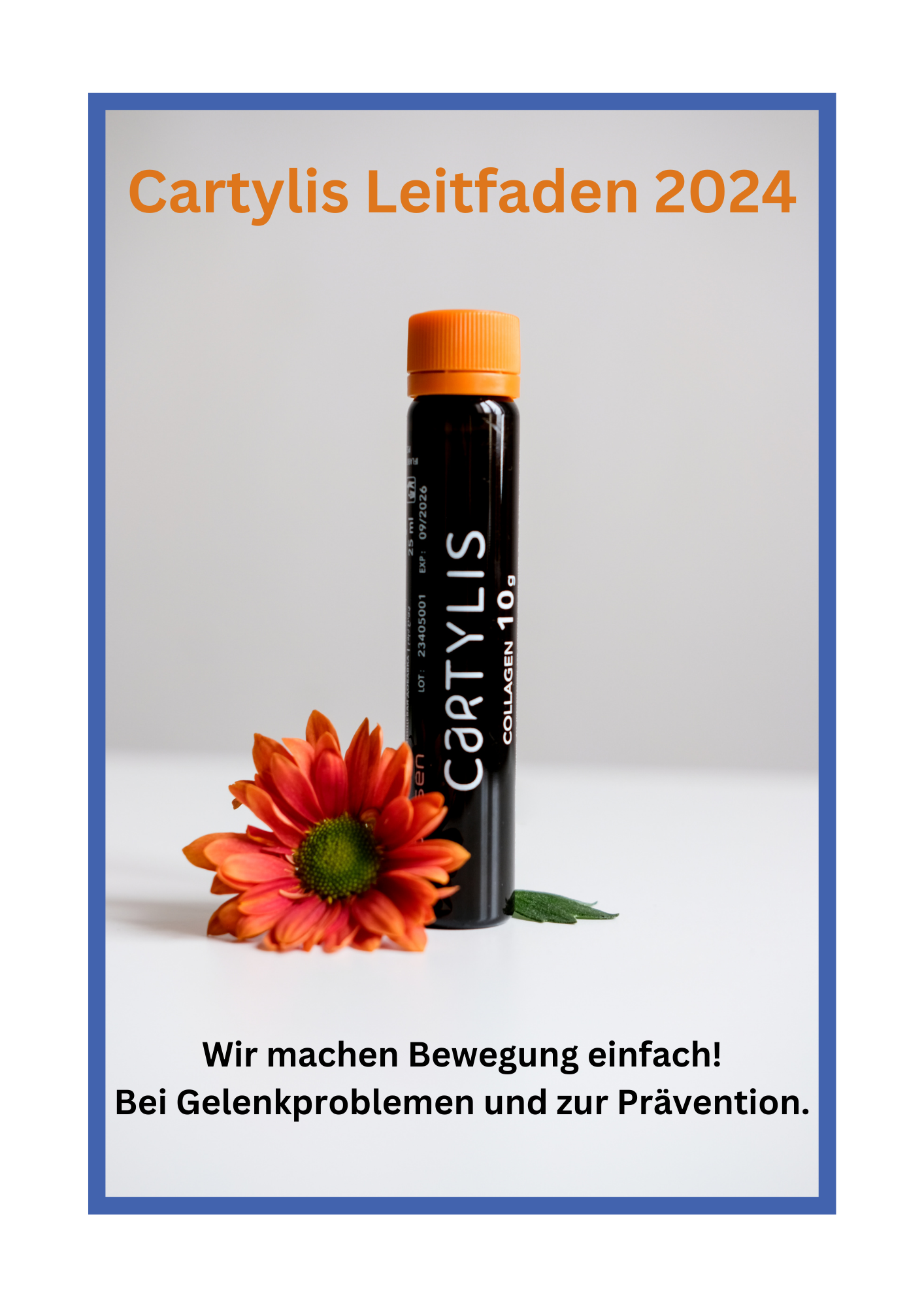 Leitfaden – Cartylis