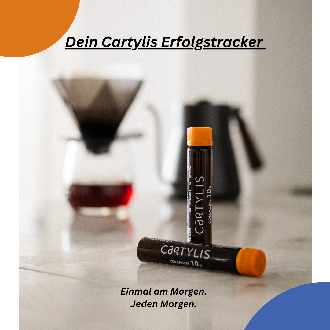 Erfolgstracker – Cartylis